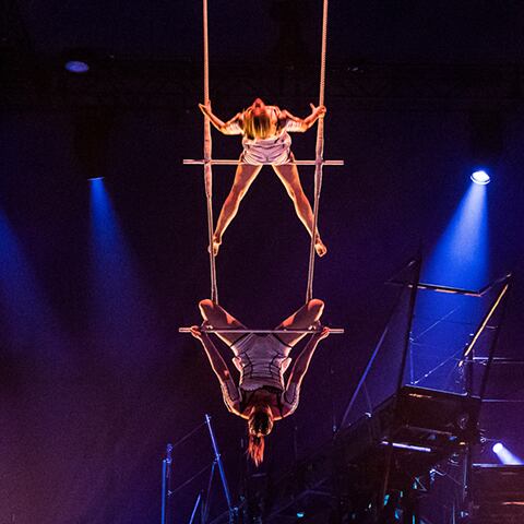 Bazzar : Touring Show. See tickets and deals | Cirque du Soleil