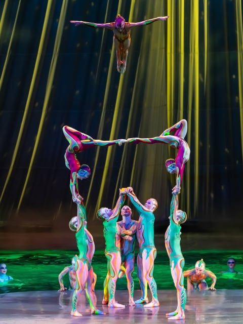 cirque du soleil o