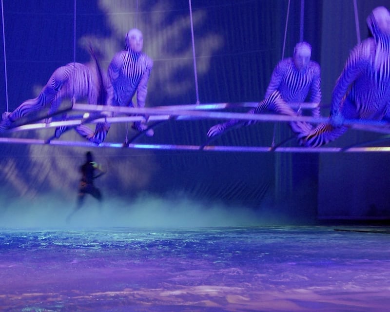 cirque du soleil o