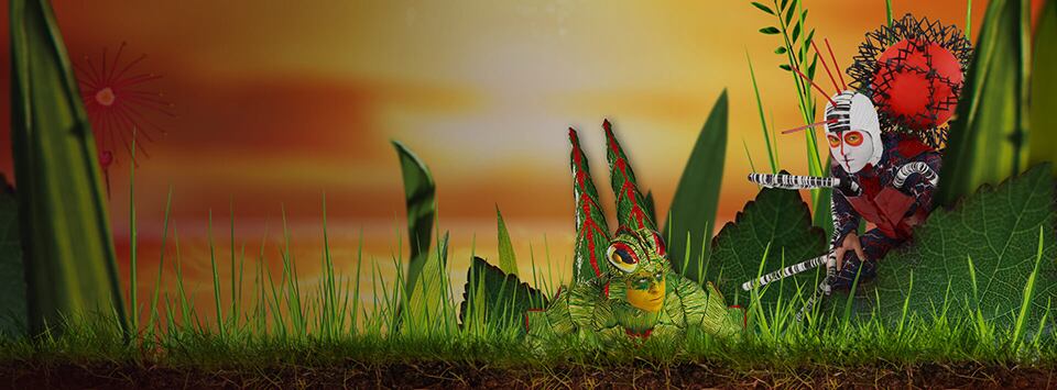 OVO : Touring Show. See tickets and deals | Cirque du Soleil