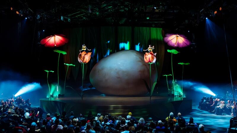 OVO - Cirque du Soleil
