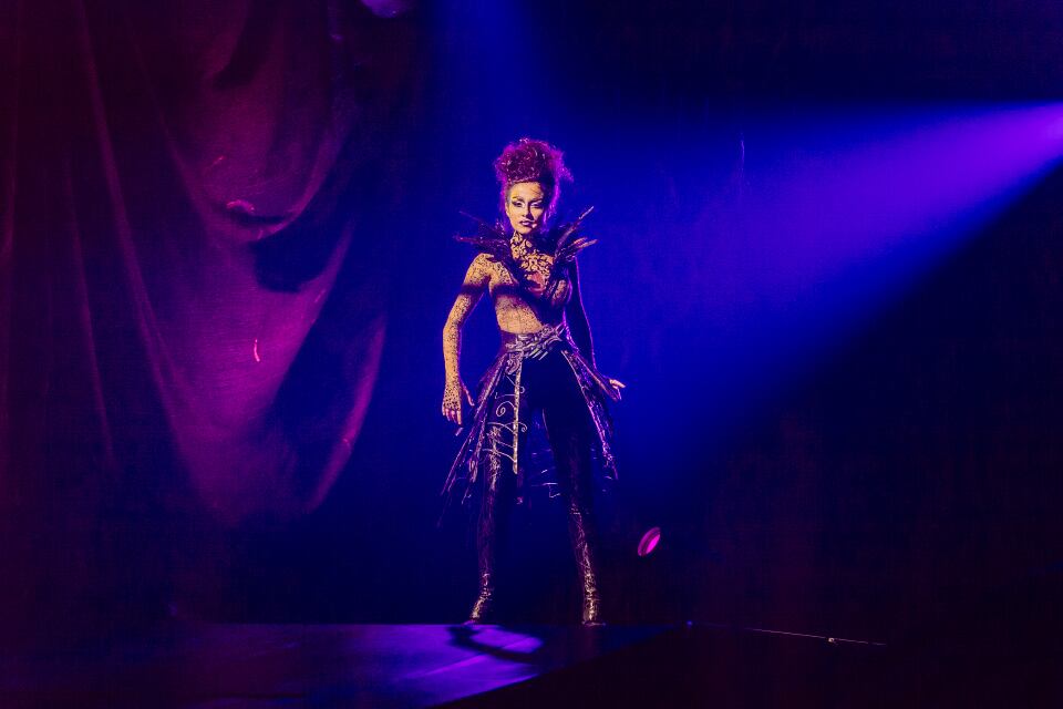 Press kit | Alegria | Cirque du Soleil