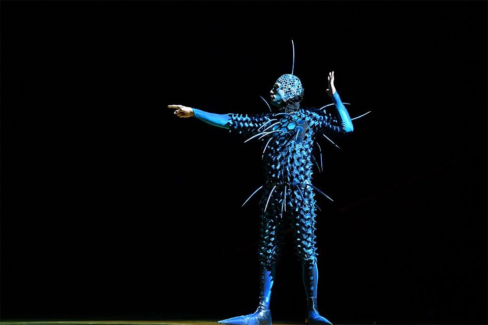 Press kit | Ovo | Cirque du Soleil