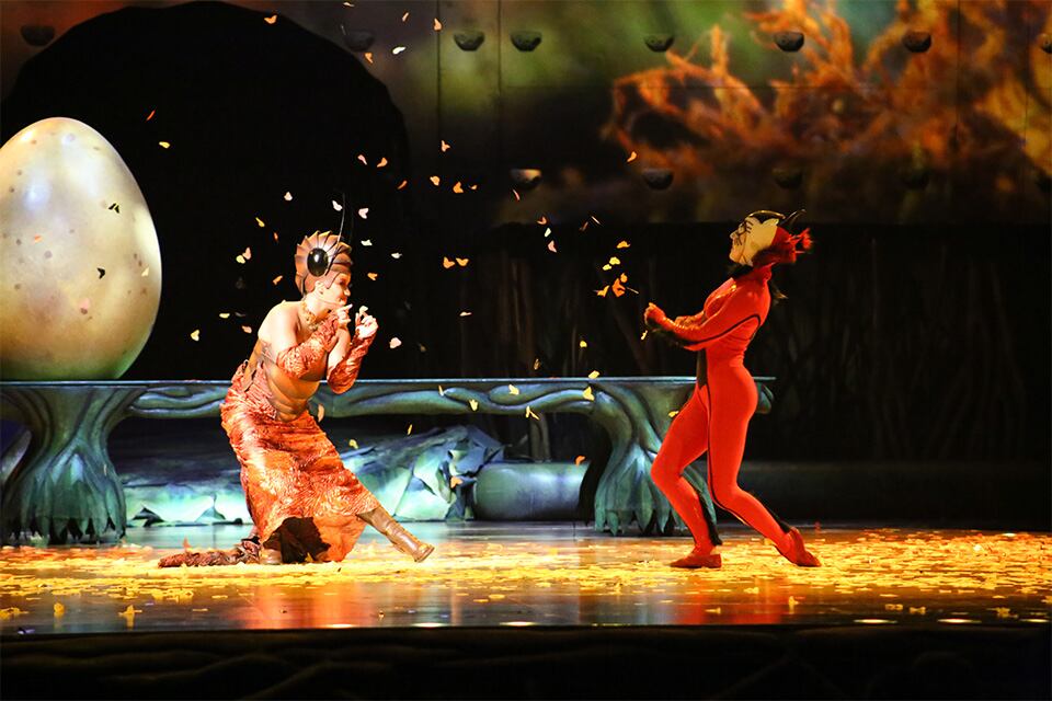 Press kit | Ovo | Cirque du Soleil